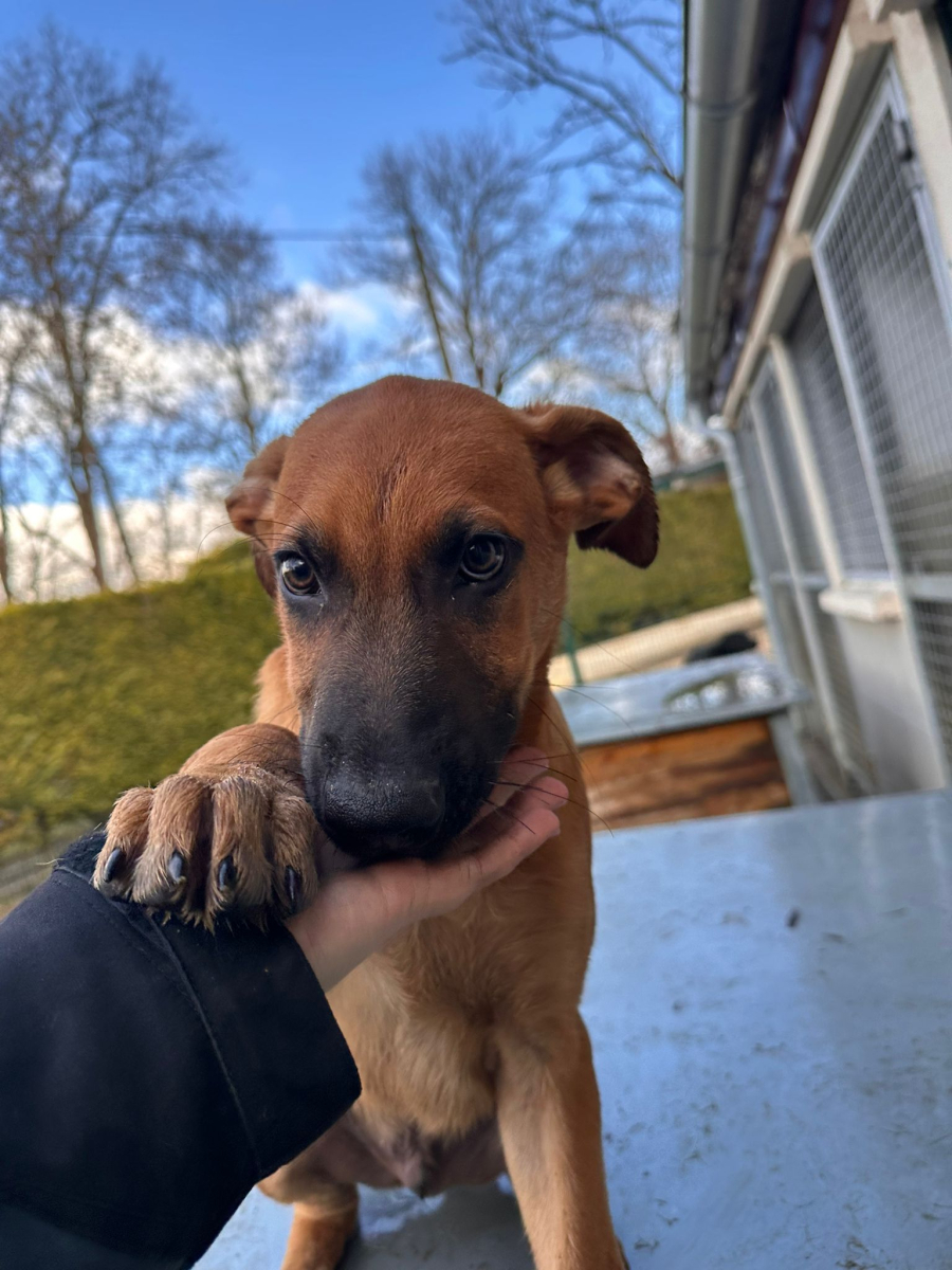 Astro